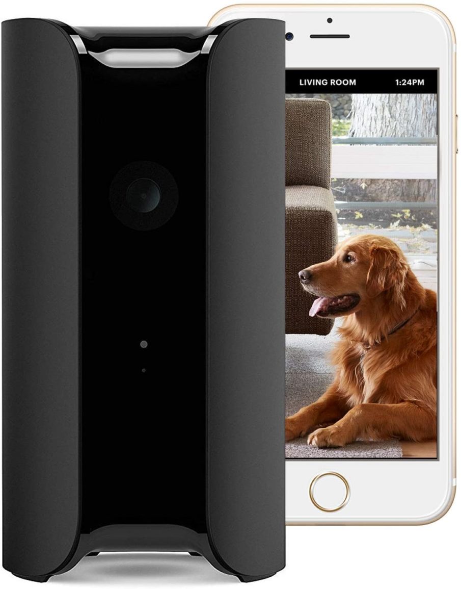 Best Smart Home Cameras for 2021 - Review Cruiser